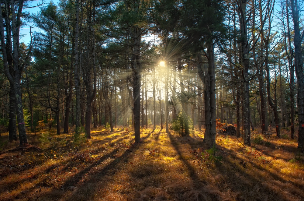 Winter On Nantucket: 9 more Things To Do – Nantucket Looms